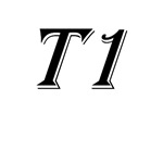 Diabetic Vent : "Express Your Diabetes" Online Store