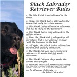 Black Lab Gifts : Labrador Retriever Lover Gifts by 8PawsUp