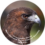 Mountainaire Avian Rescue Society (MARS)