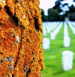 Photography by Stephanie Price